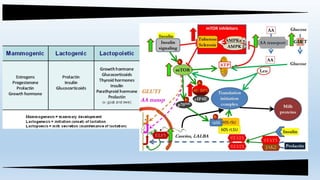 MILK PROTEINS / SYNTHESIS CASEIN | PPTX