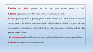 MILK PROTEINS / SYNTHESIS CASEIN | PPTX