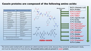MILK PROTEINS / SYNTHESIS CASEIN | PPTX