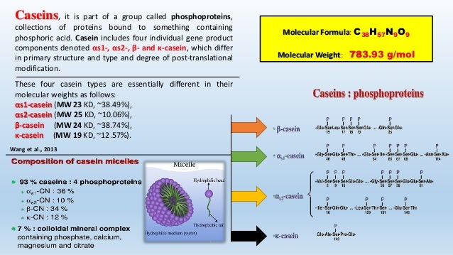 MILK PROTEINS / SYNTHESIS CASEIN