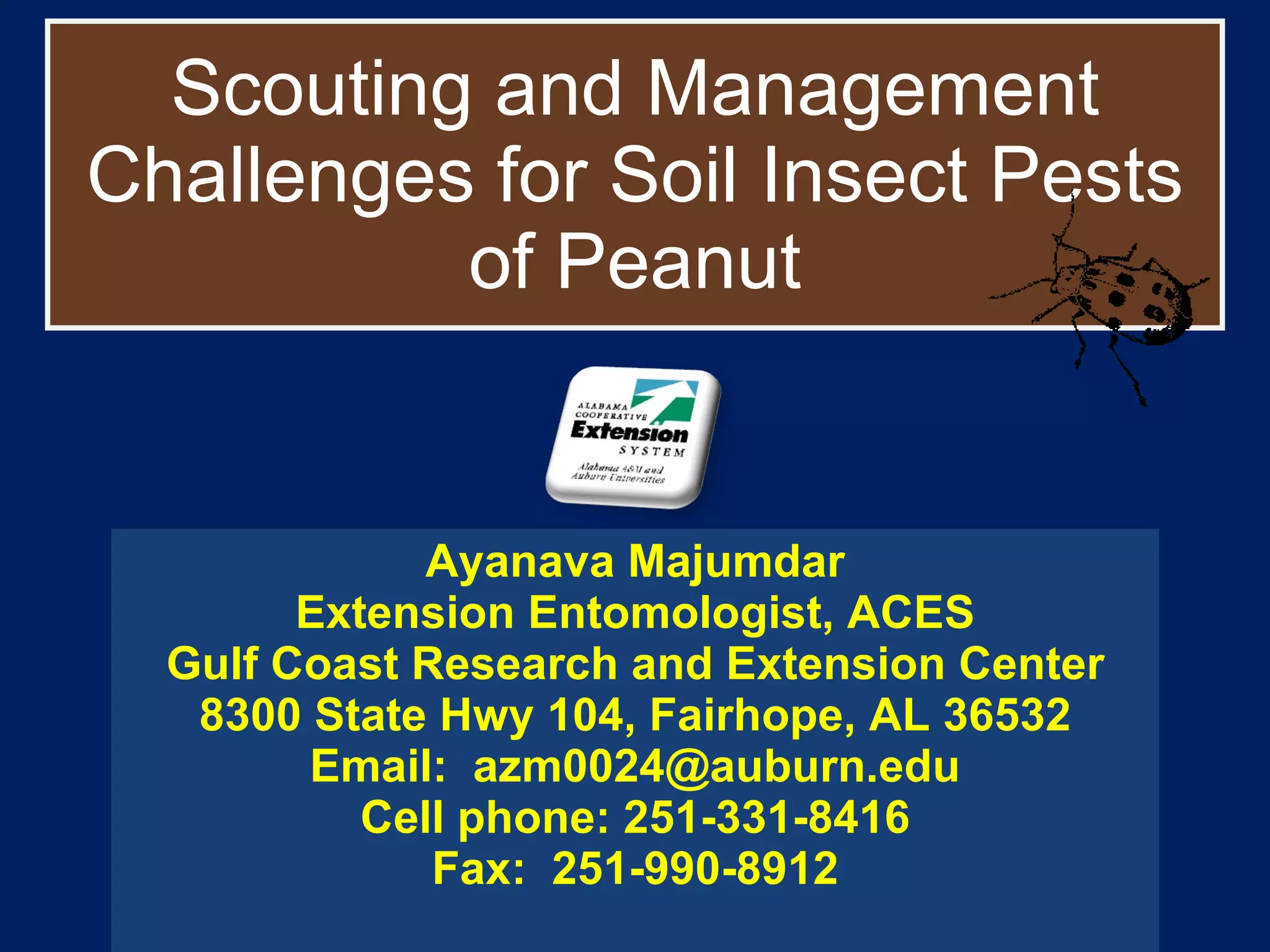 Soil insect pests of peanut | PPT