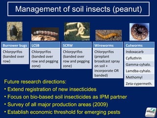 Soil insect pests of peanut | PPT