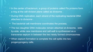 Microbial growth presentation | PPT