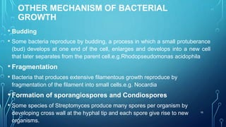 Microbial growth presentation | PPT