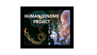 Human genome project assignment by Subhrajyoti Mohanty.pptx