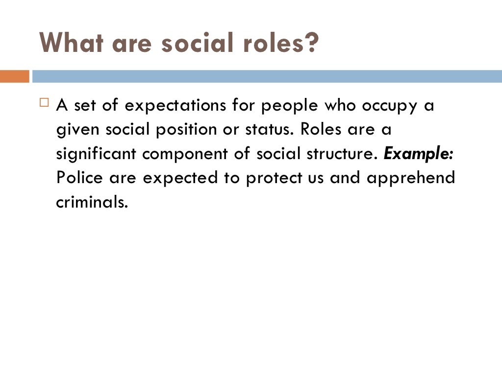 Presentation 3 (social roles)