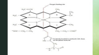 Structure & Biological role of Hemoglobin, myoglobin & Chrophyll ...
