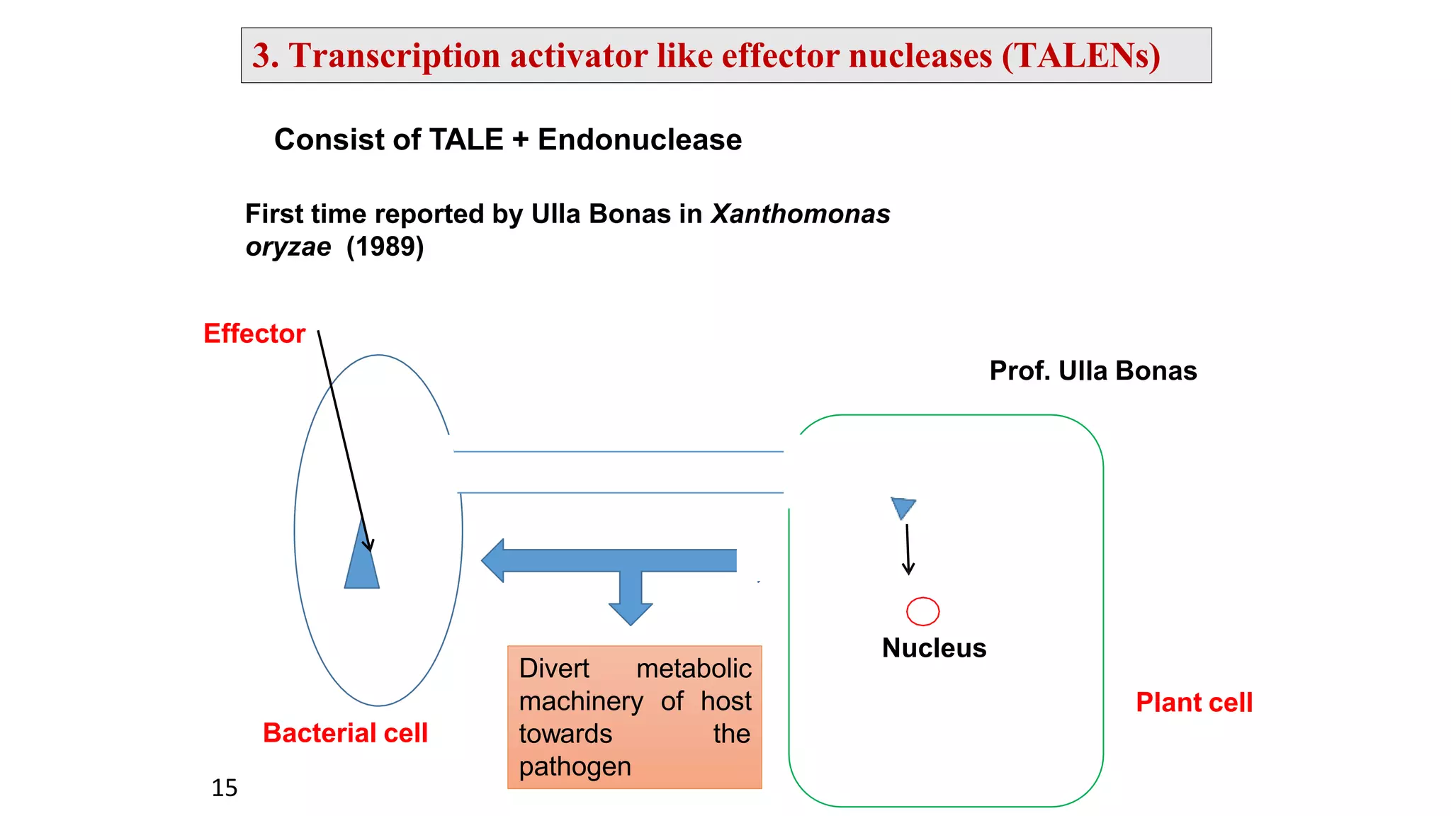 Advanced genome & epigenome editing tools.pptx