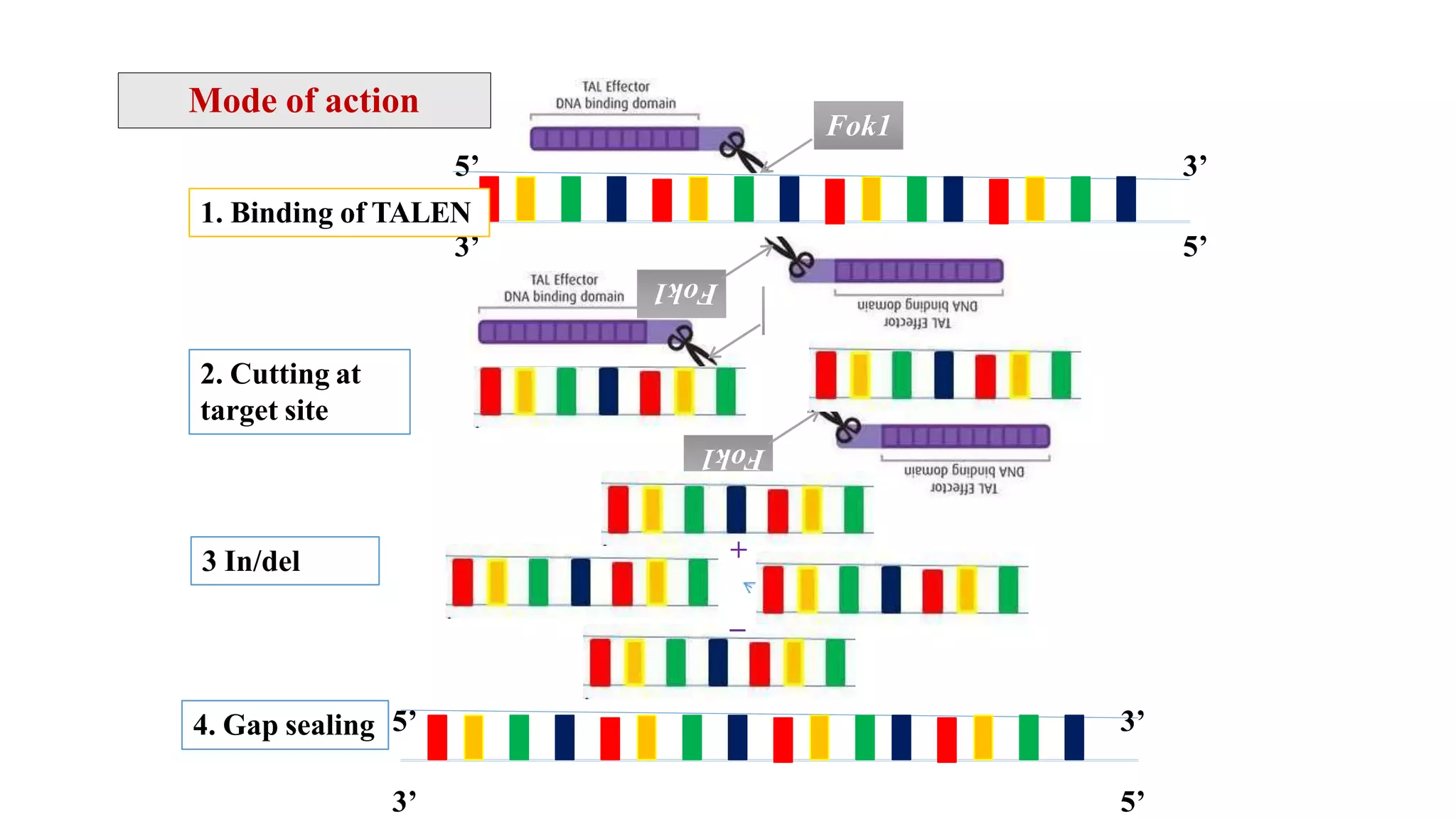 Advanced genome & epigenome editing tools.pptx