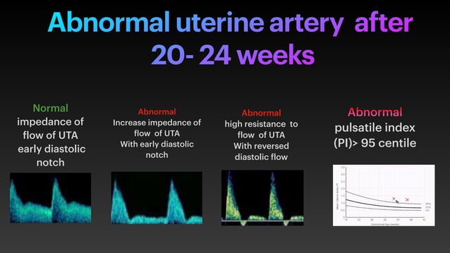 Presentation 3 uterine artery doppler .pdf | Pregnancy | Reproductive ...