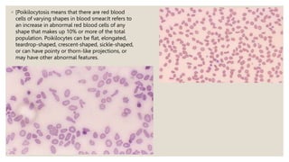 Presentation (4)-1.pptx................. | PPTX