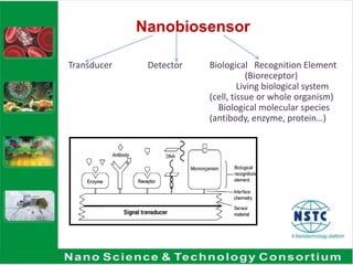Nanobiosensors | PPTX