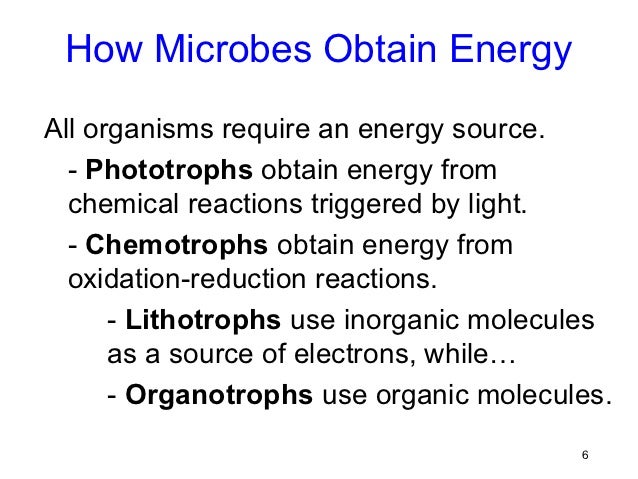 Presentation4 - Microbio