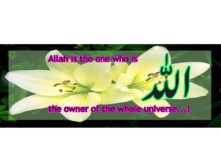 islamic cover photos | PPT | Islam | Religion & Spirituality