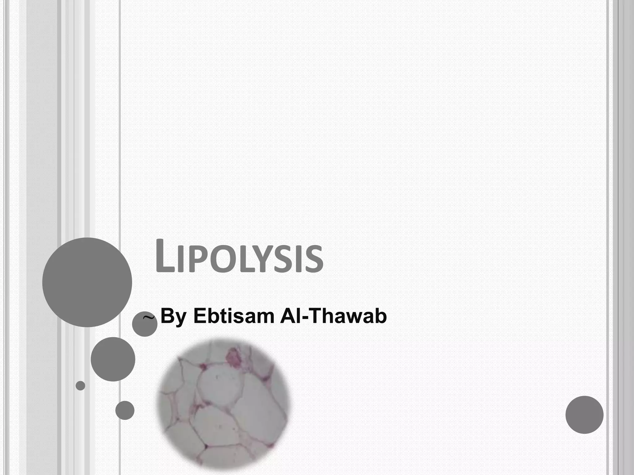 Lipolysis | PPTX