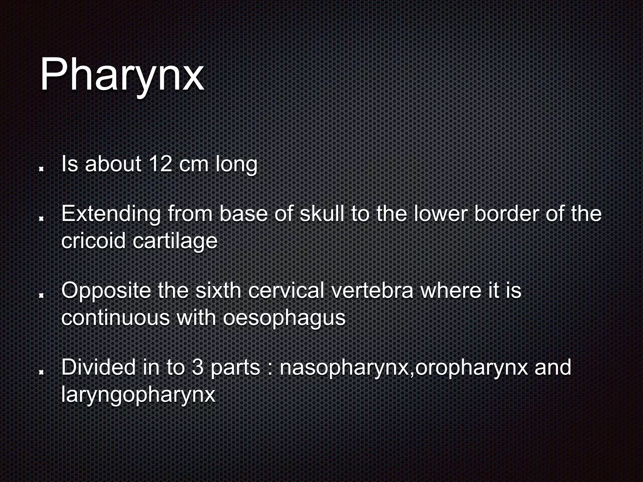 pharynx part1 | PPTX