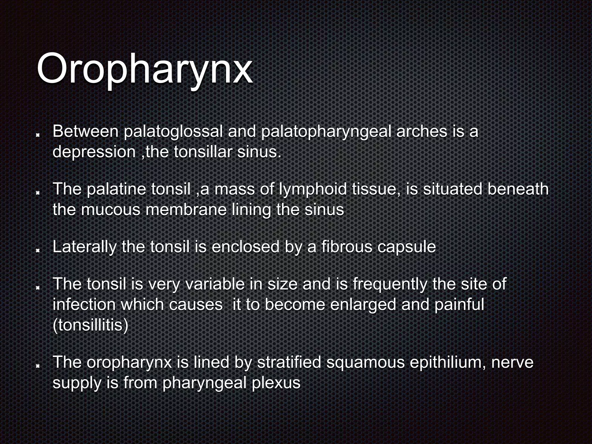 pharynx part1 | PPTX