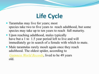 Presentation4 | PPTX