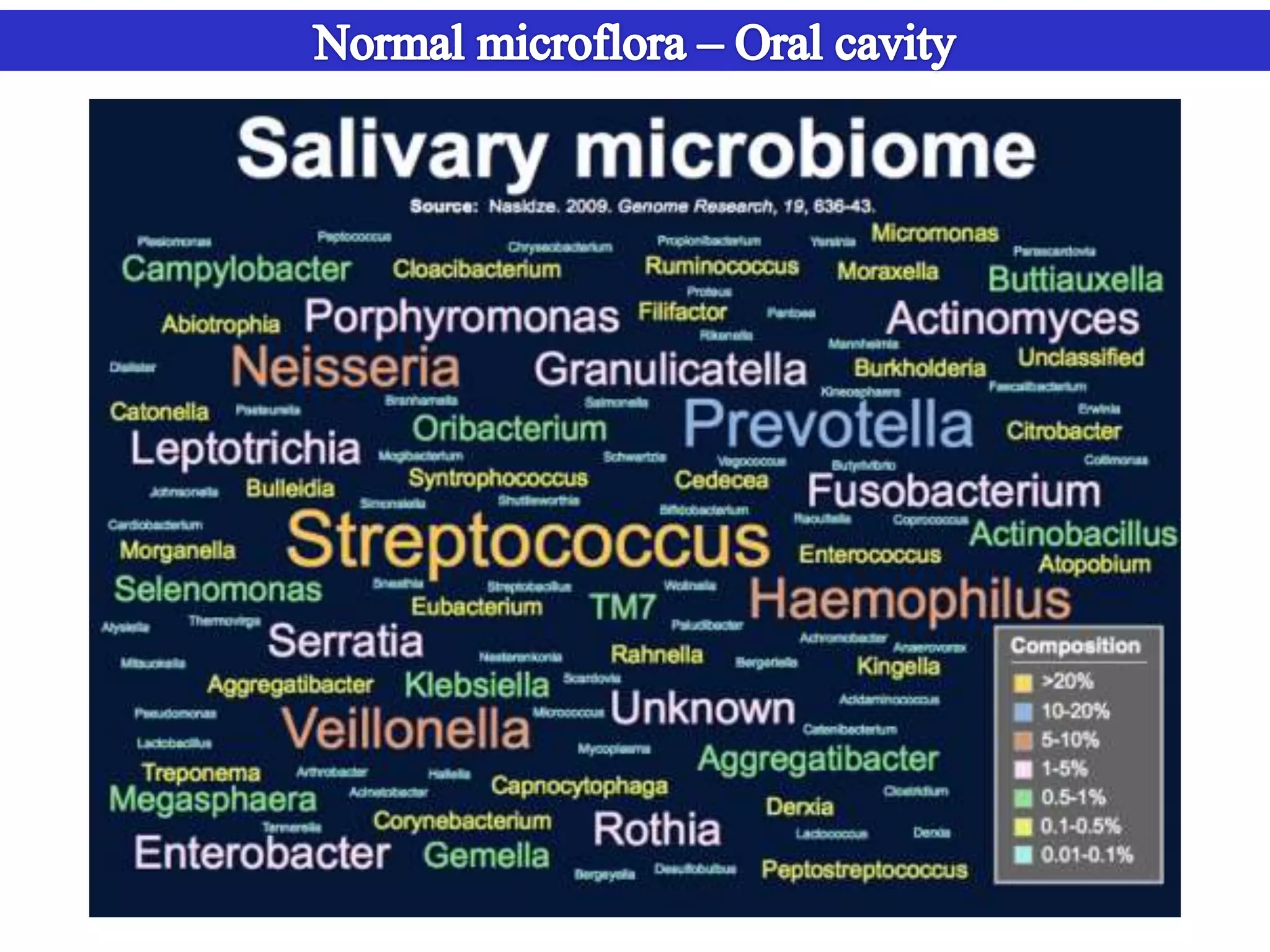 Normal Microflora of Human body | PPTX