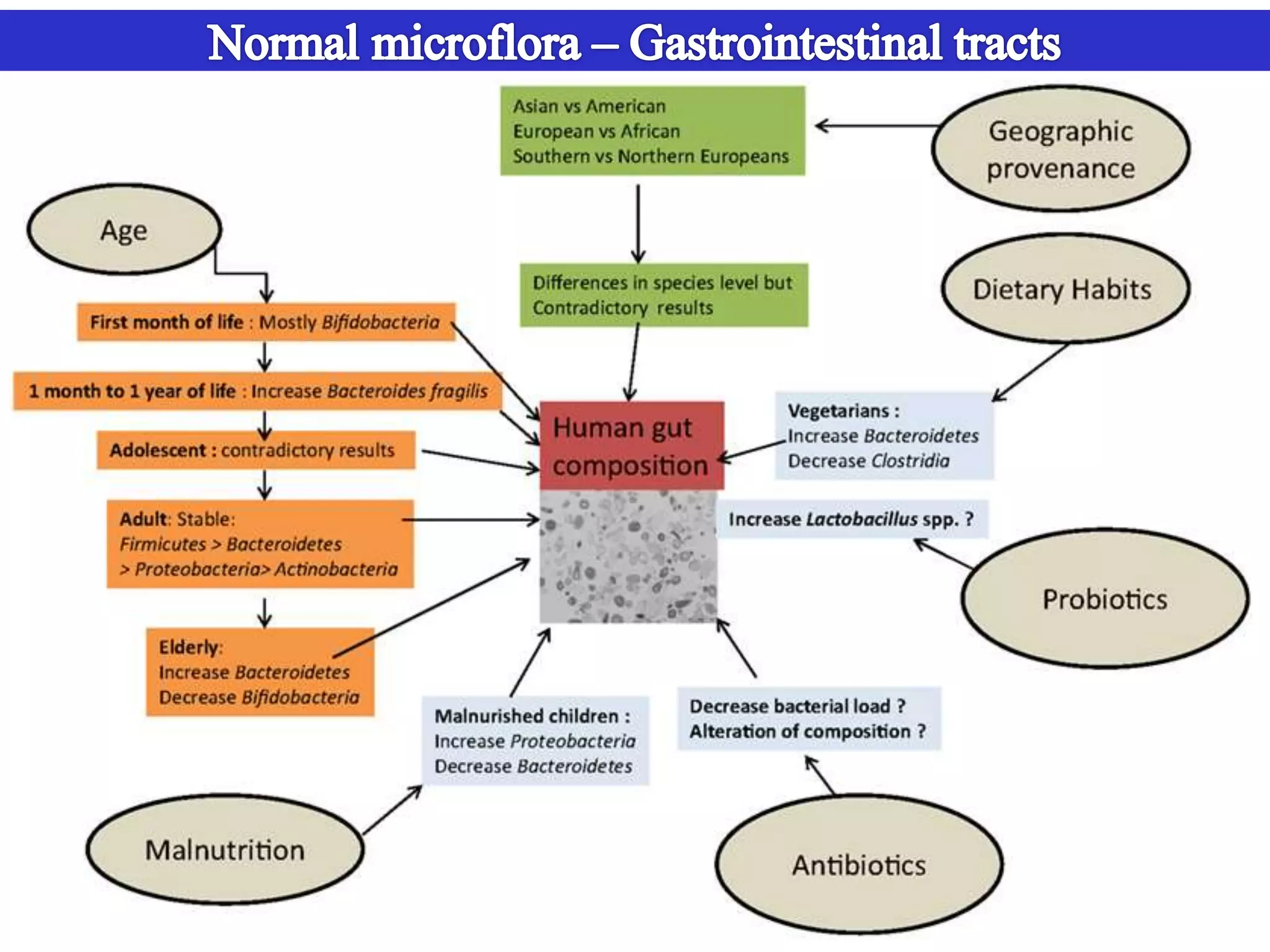 Normal Microflora of Human body | PPTX
