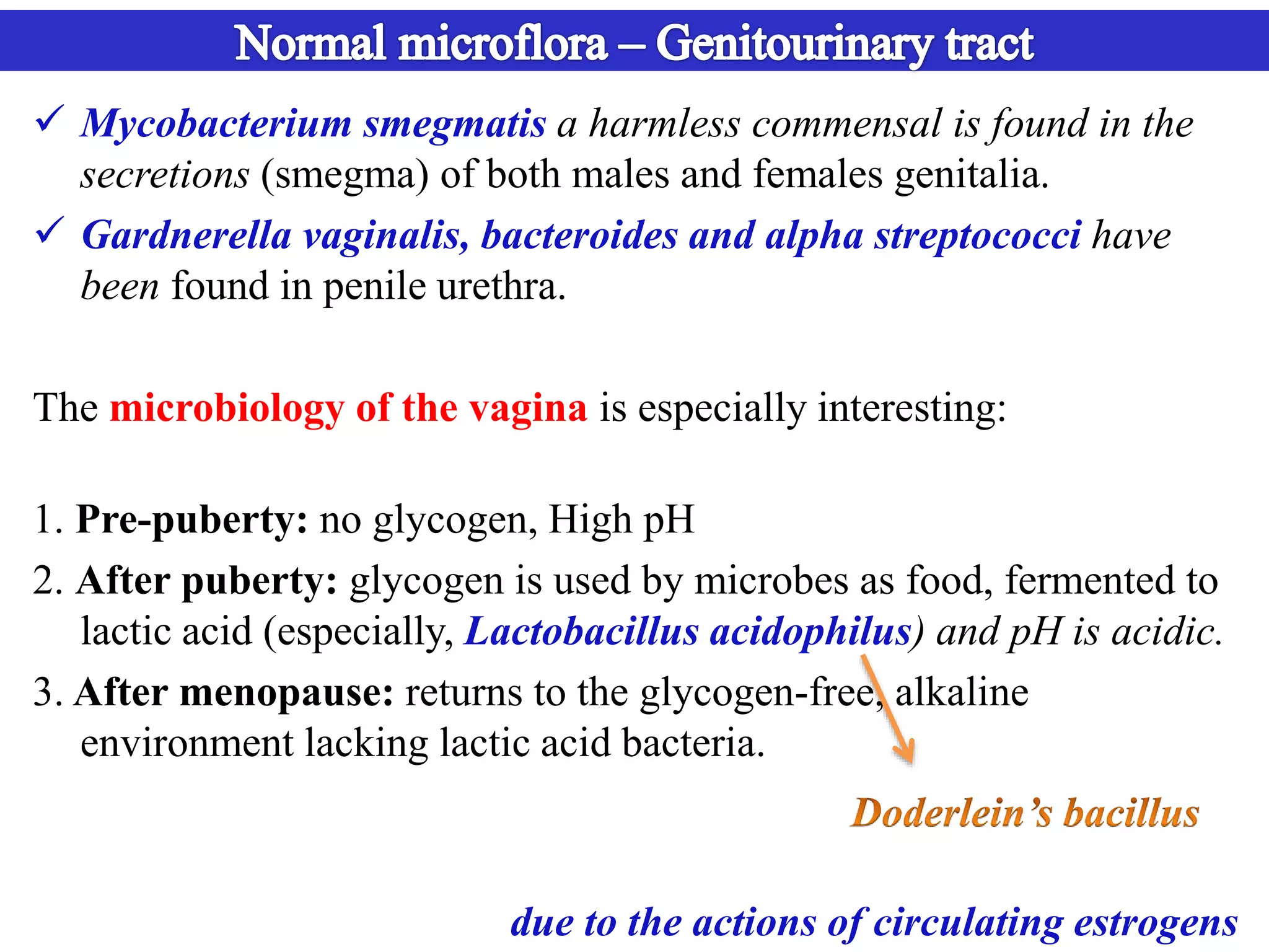 Normal Microflora of Human body | PPTX