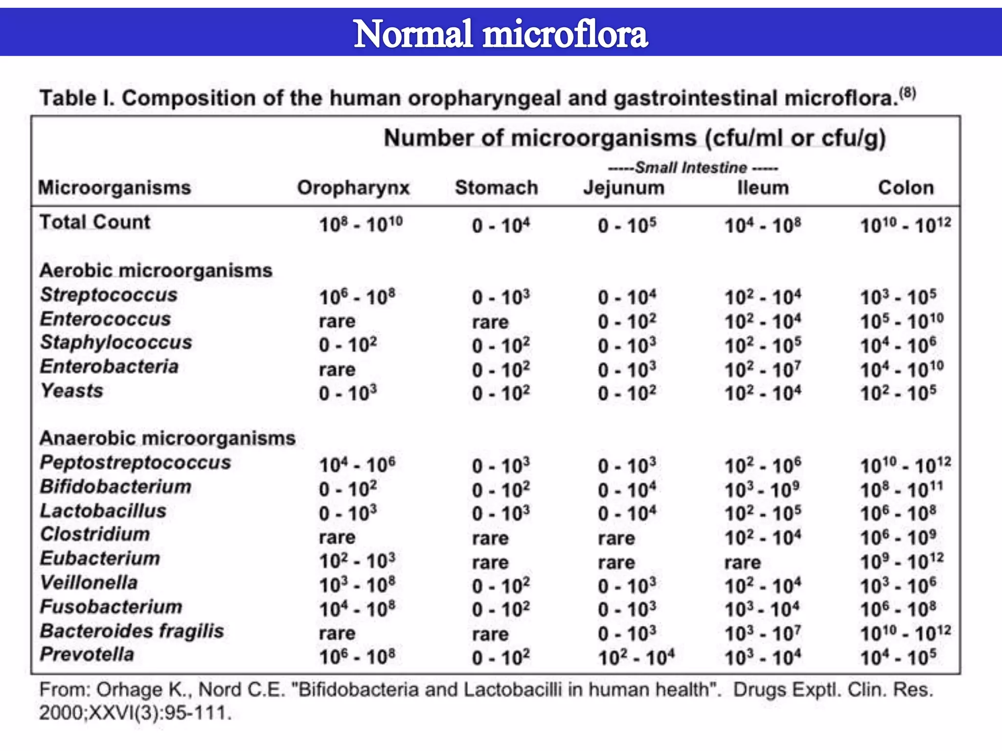 Normal Microflora of Human body | PPTX