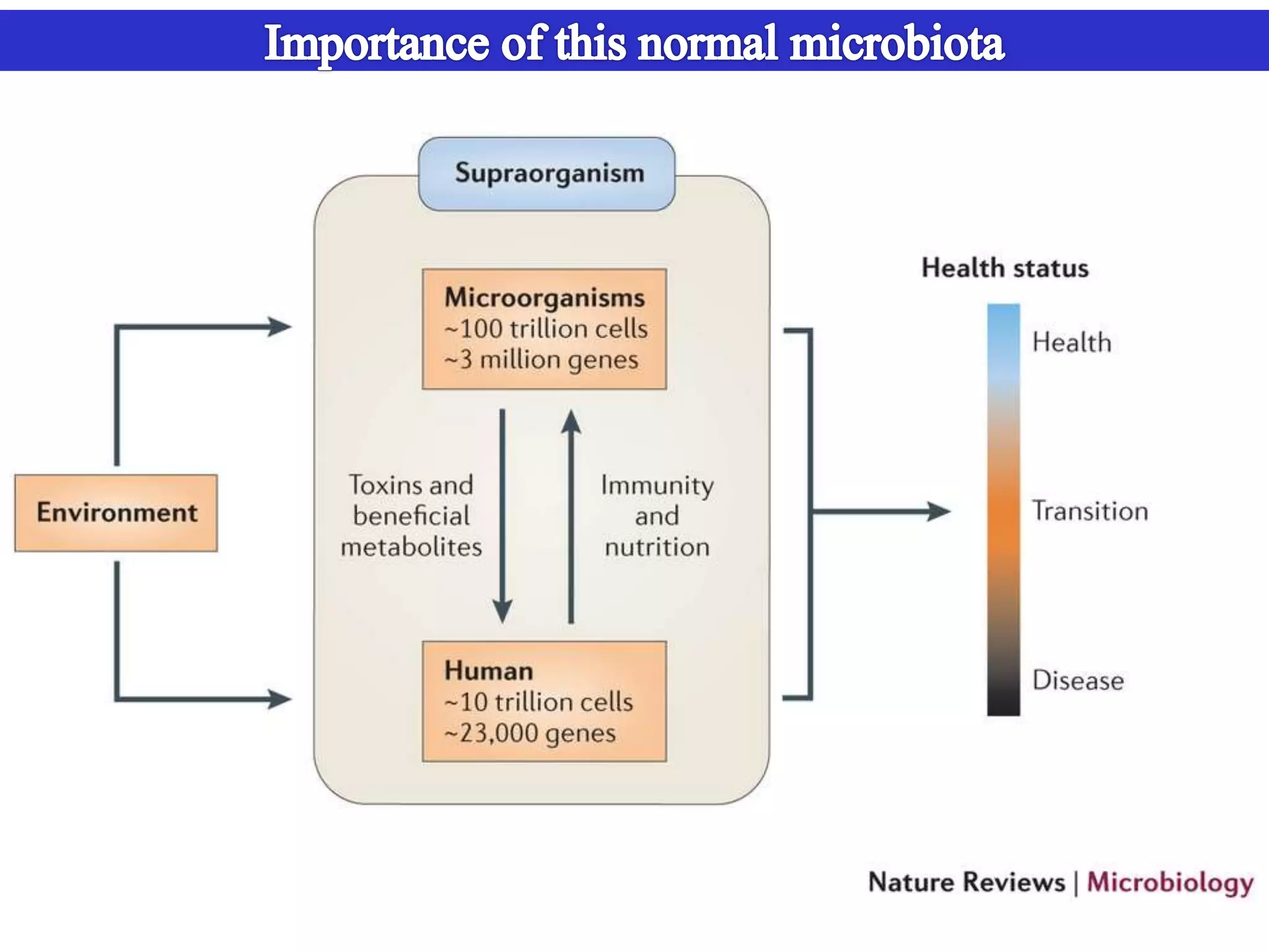 Normal Microflora of Human body | PPTX