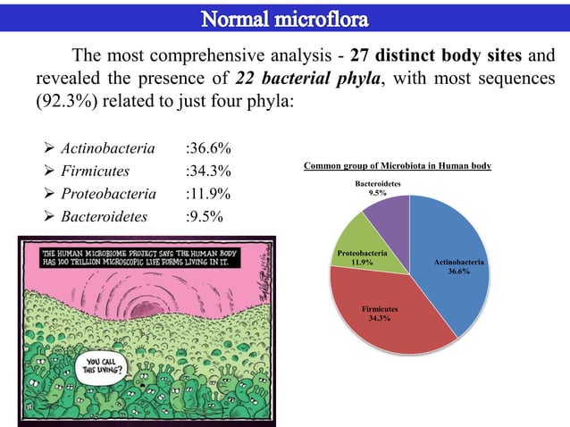 Normal Microflora of Human body | PPTX | Reproductive Health | Diseases ...