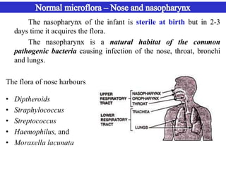 Normal Microflora of Human body | PPTX
