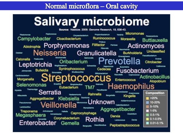 Normal Microflora of Human body | PPTX | Reproductive Health | Diseases ...