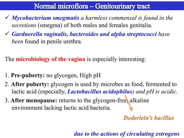 Normal Microflora of Human body | PPTX | Reproductive Health | Diseases and Conditions