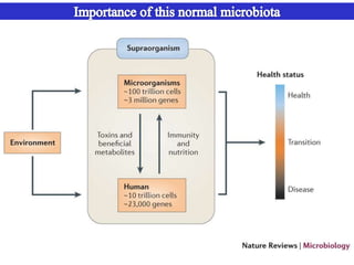 Normal Microflora of Human body | PPTX