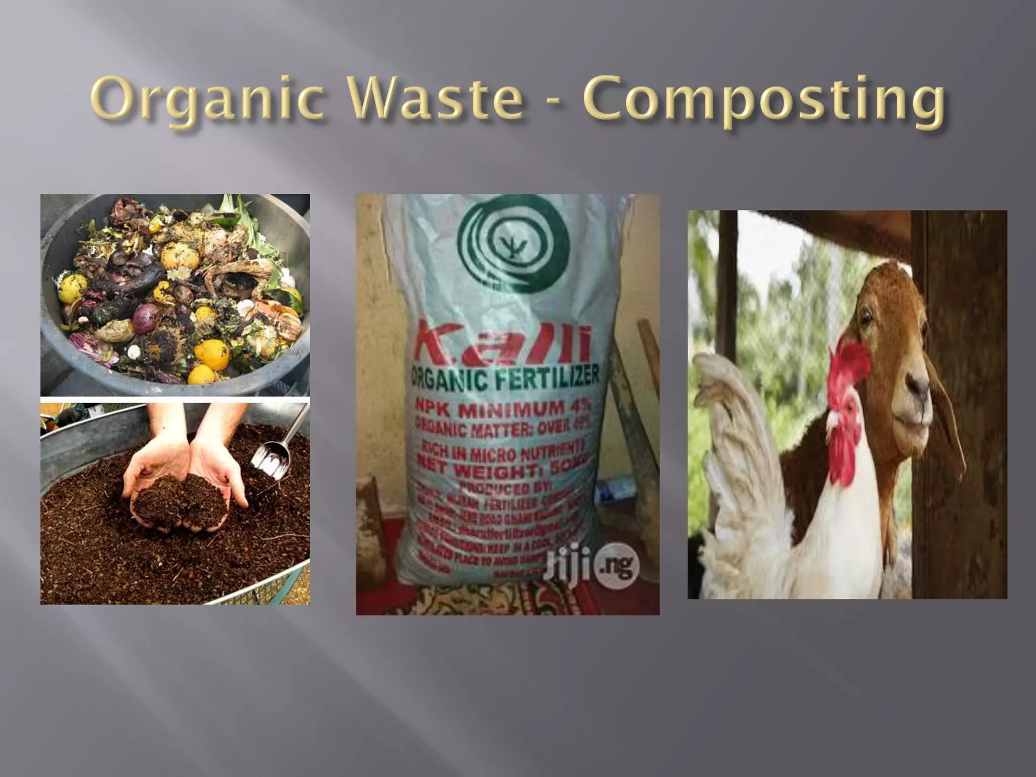 TURNING WASTE TO WEALTH: WASTE TO WEALTH, PATH TO SUSTAINABLE SECURED ...