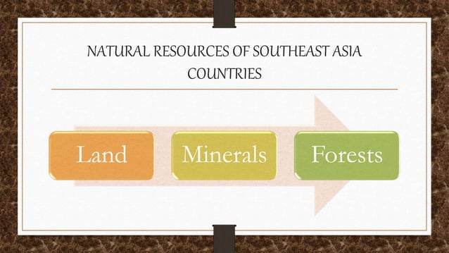 Topic 4: Natural Resources | PPTX