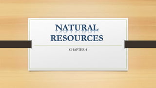 Chapter 4: Natural Resources | PPTX