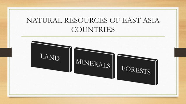 Chapter 4: Natural Resources | PPTX