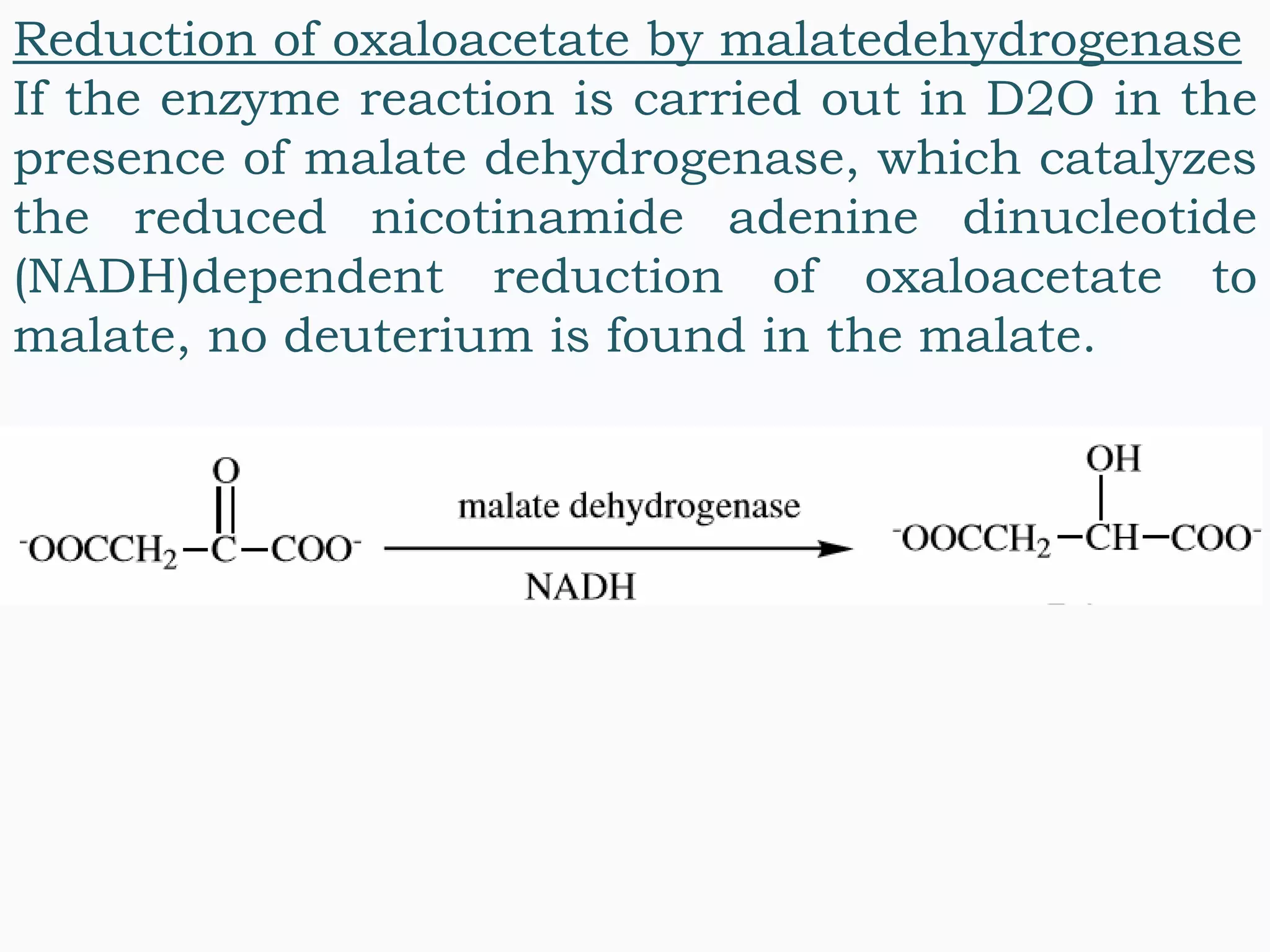 enzyme catalyzed reactions | PPTX