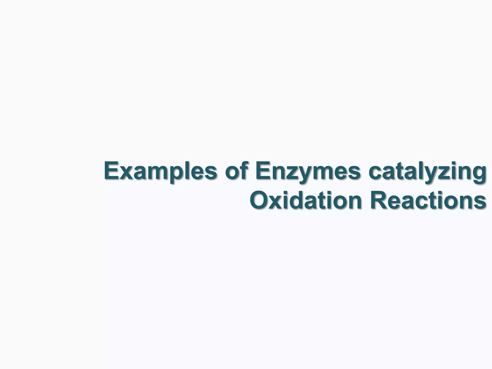 enzyme catalyzed reactions | PPTX