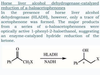 enzyme catalyzed reactions | PPTX