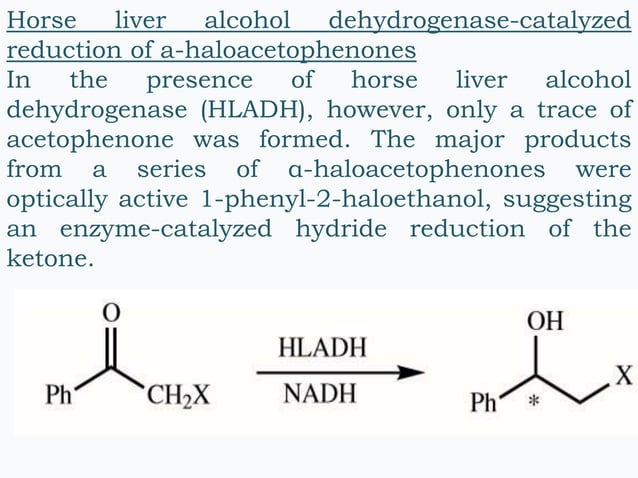 enzyme catalyzed reactions | PPTX | Chemistry | Science