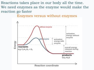 enzyme catalyzed reactions | PPTX