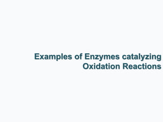 enzyme catalyzed reactions | PPTX
