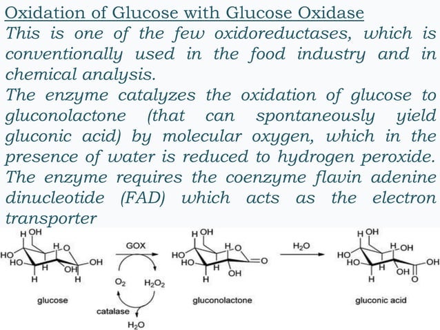 enzyme catalyzed reactions | PPTX | Chemistry | Science