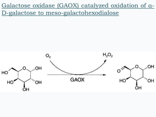 enzyme catalyzed reactions | PPTX