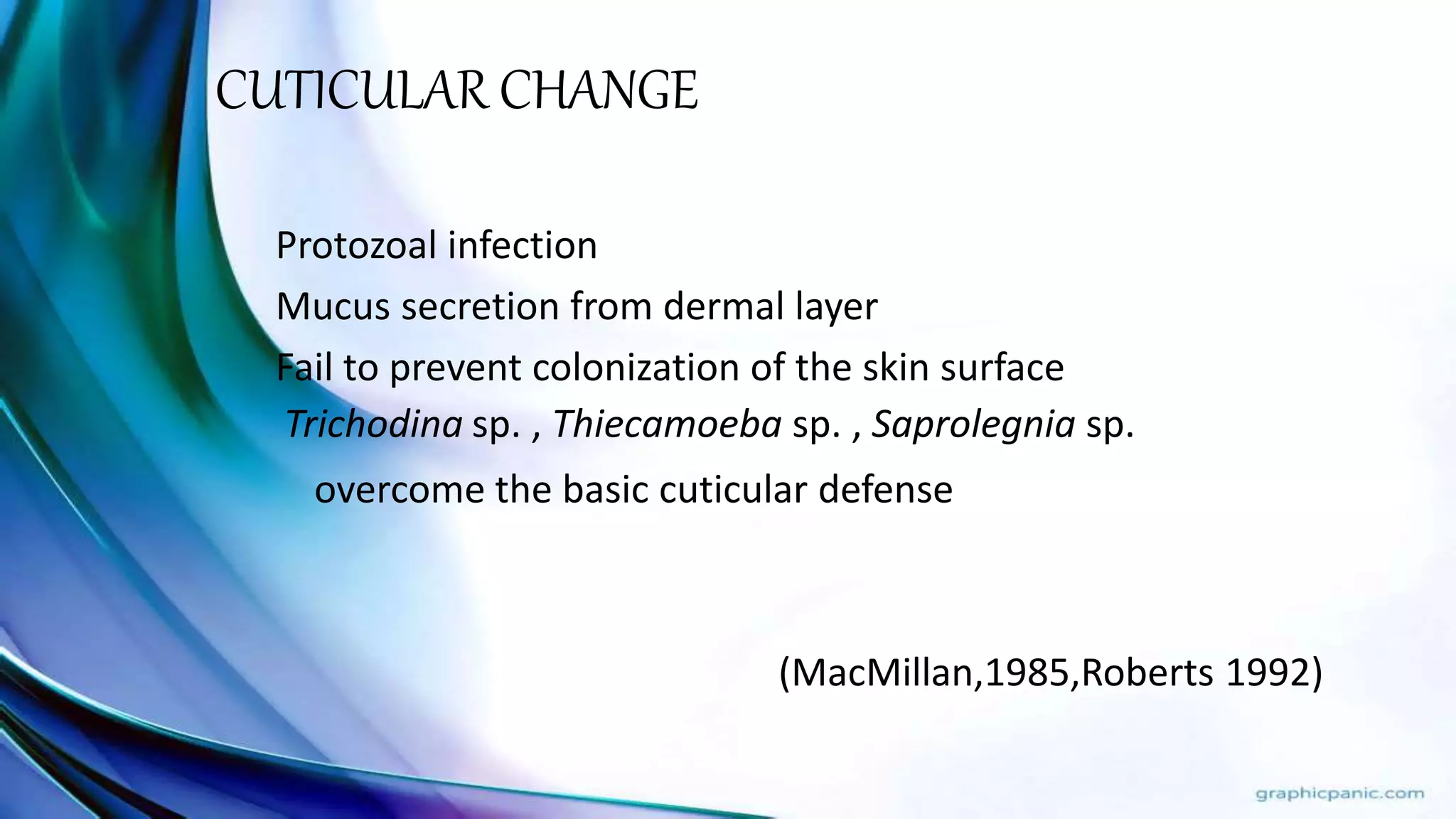 Fish pathology | PPTX