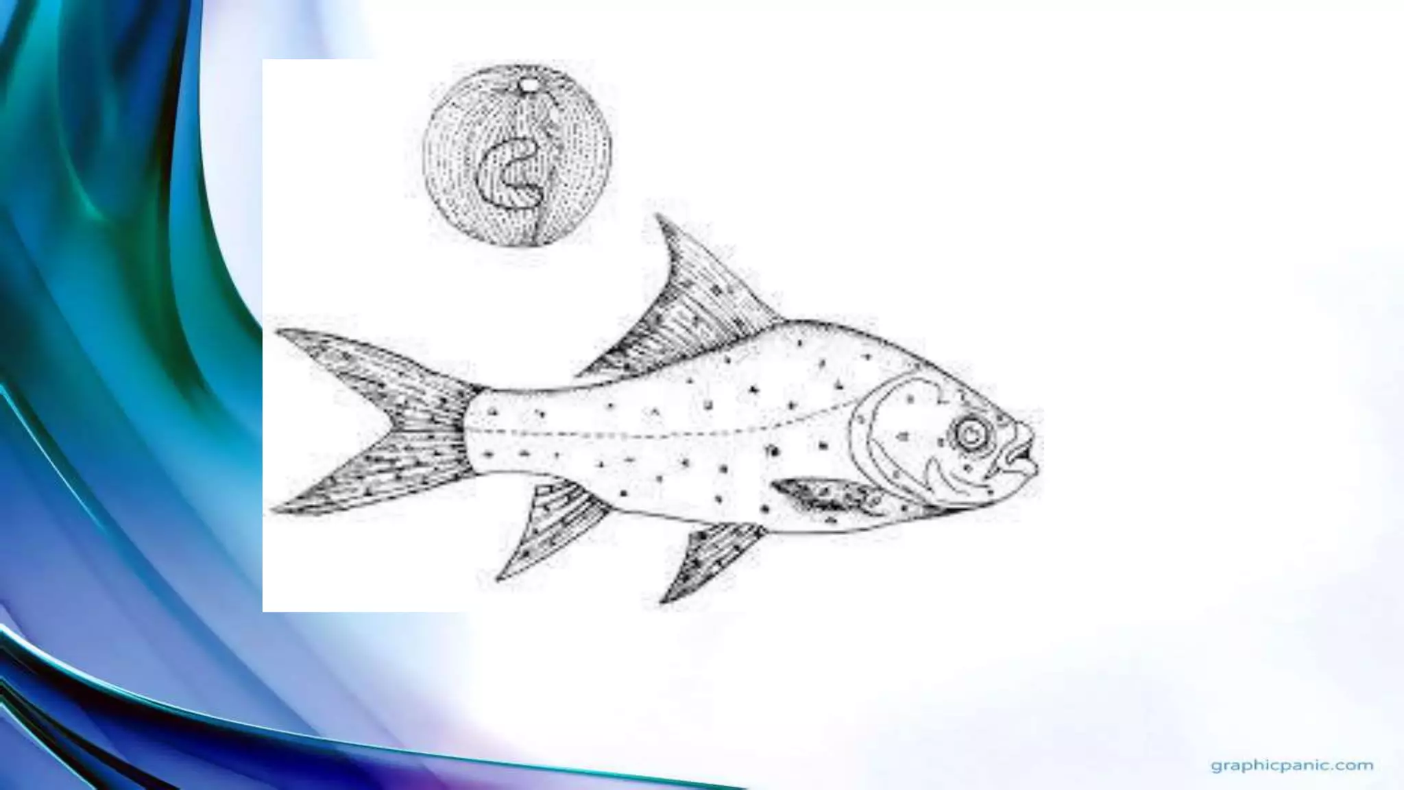 Fish pathology | PPTX