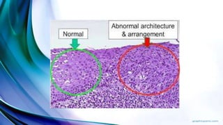 Fish pathology | PPTX | Skin and Dermatology | Diseases and Conditions