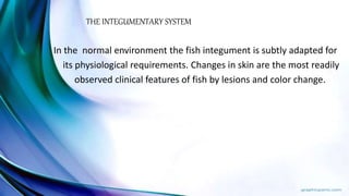 Fish pathology | PPTX | Skin and Dermatology | Diseases and Conditions