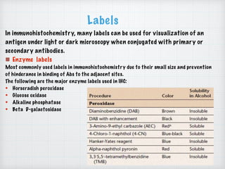 Immunohistochemistry | PDF