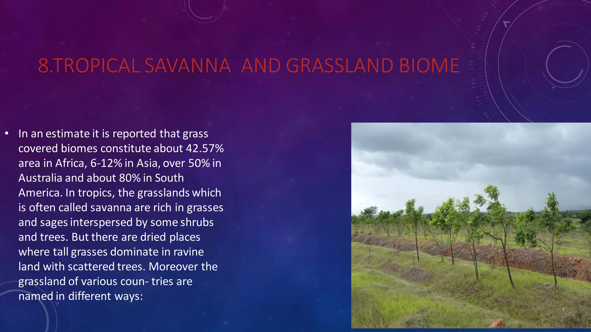 Major plant biome in India . | PDF